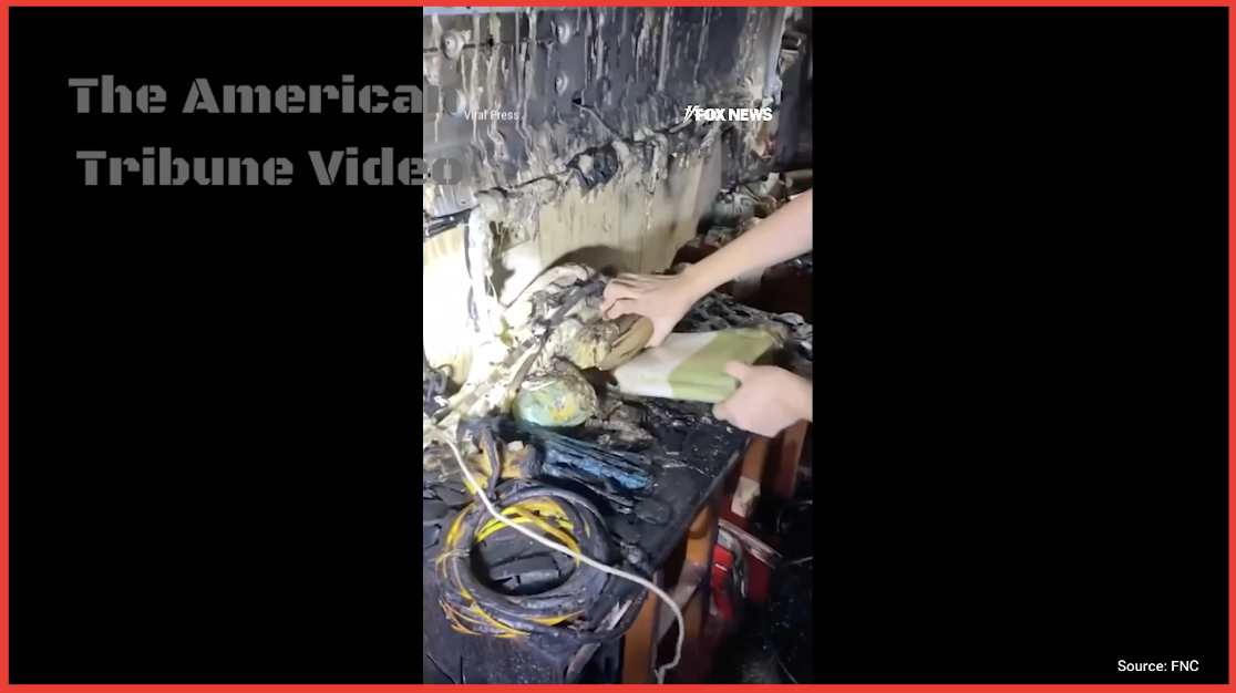 Catholic Woman Pulls Out Intact Bible From Destructive House Fire ...
